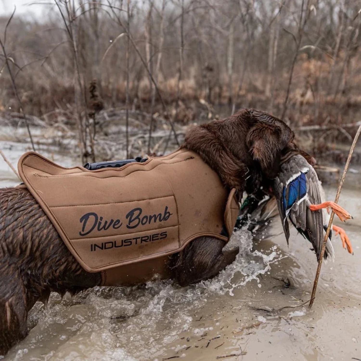 Dog Vest | Insulated & Protective Gear For Hunting Dogs – Dive Bomb ...