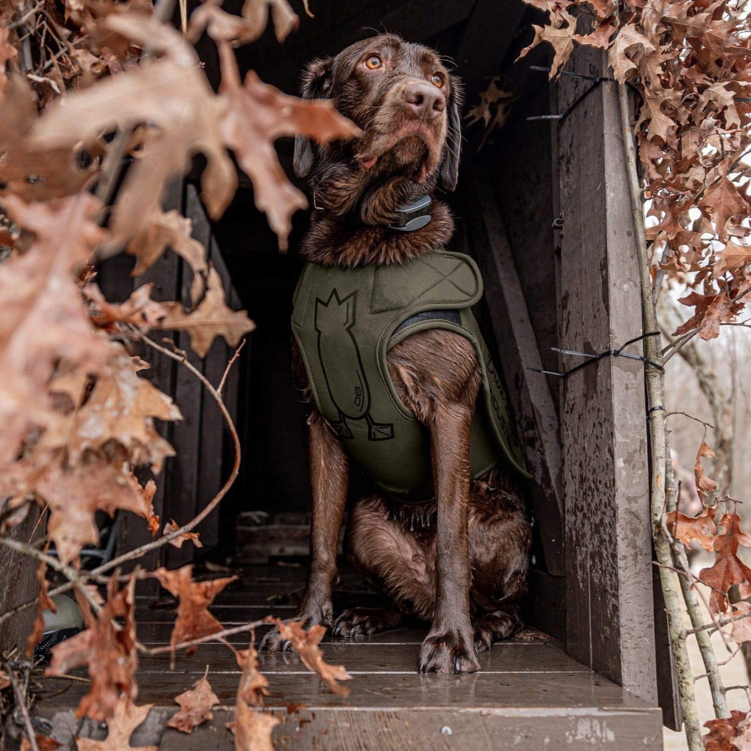 Dog Vest | Insulated & Protective Gear For Hunting Dogs – Dive Bomb ...