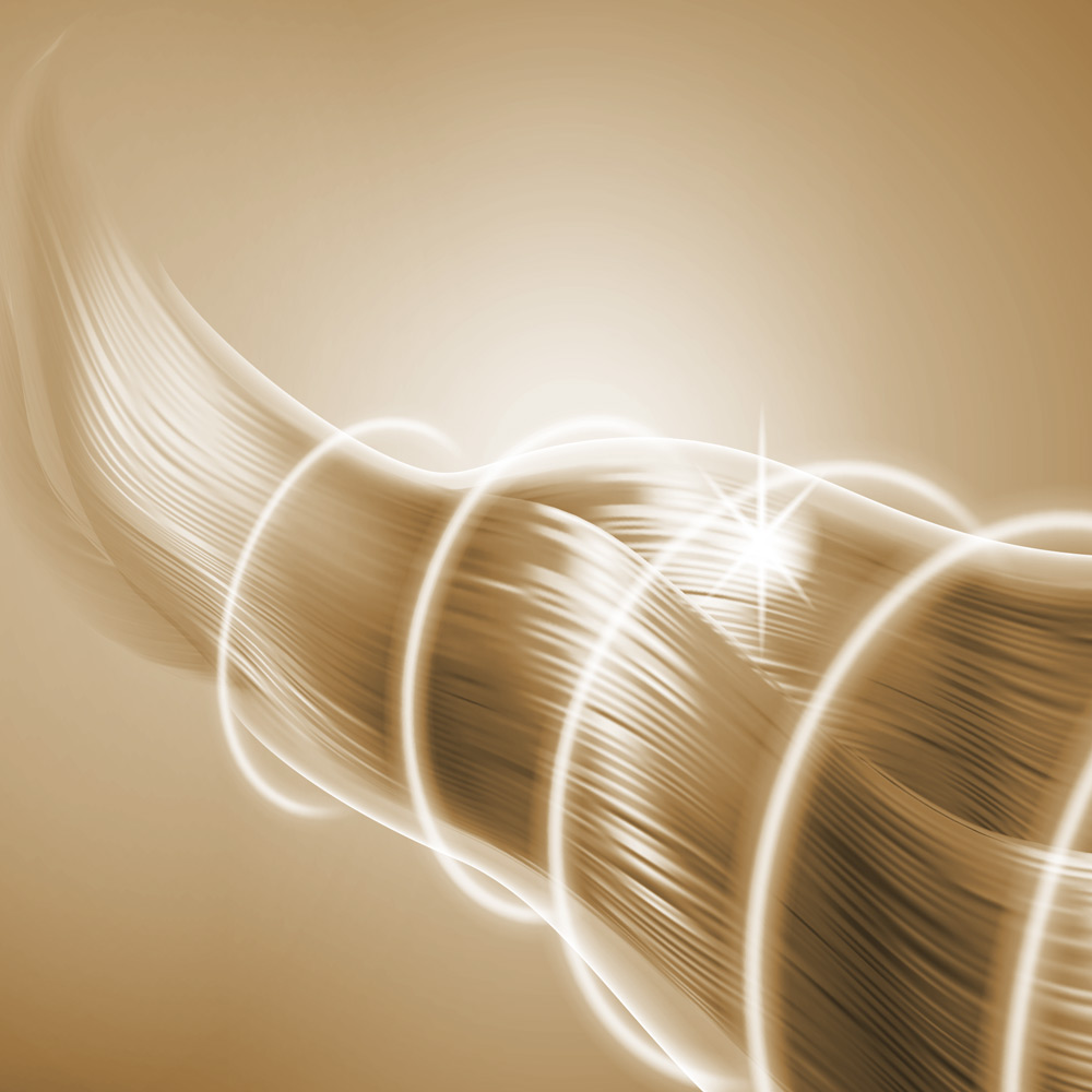 Defrizzion Dryer & XXL Diffuser – Curlsmith CA