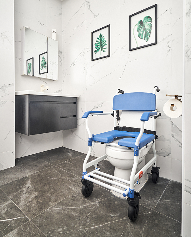 Bion Shower Commode C300 | Wide Clearance Armrests | 2-in-1 Commode ...