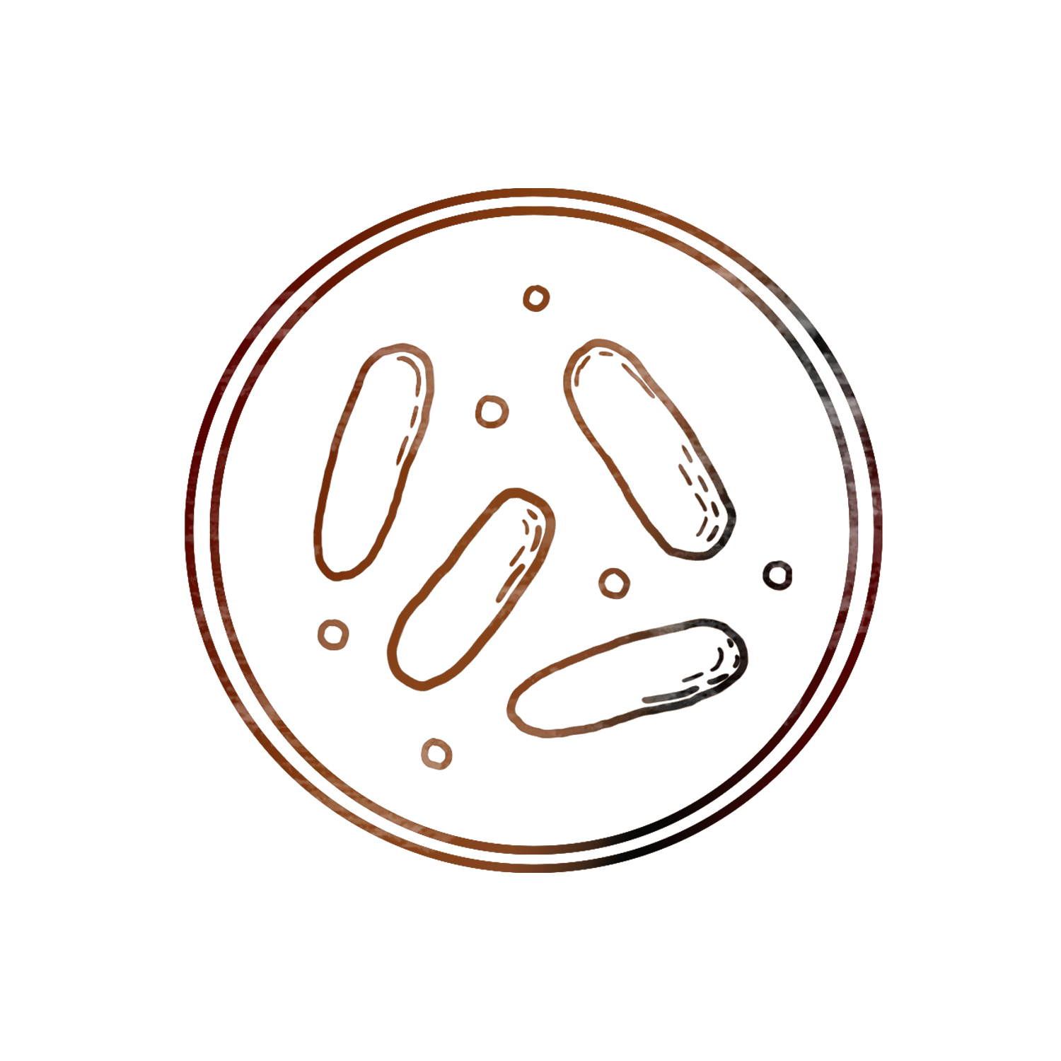 Protect Serum – Heath London