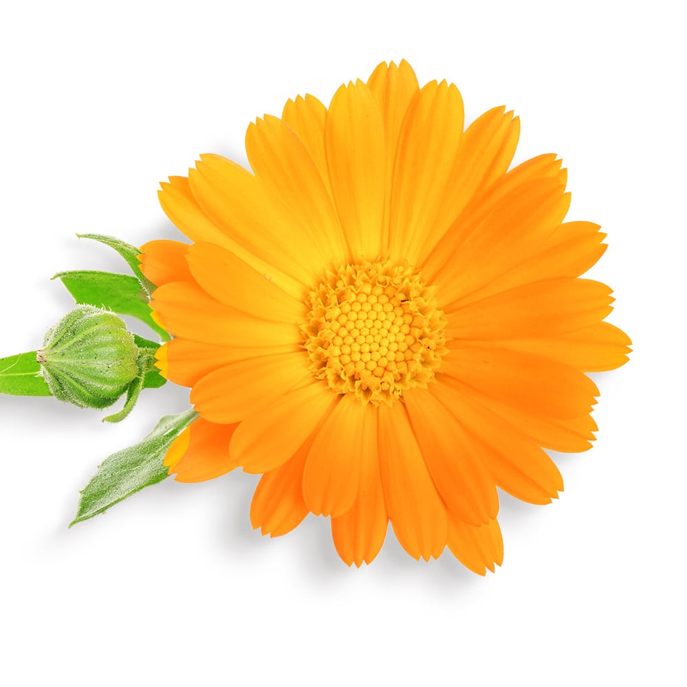 Root Boost Uplifting Spray - Root Lift Spray to Volumise Fine Hair ...