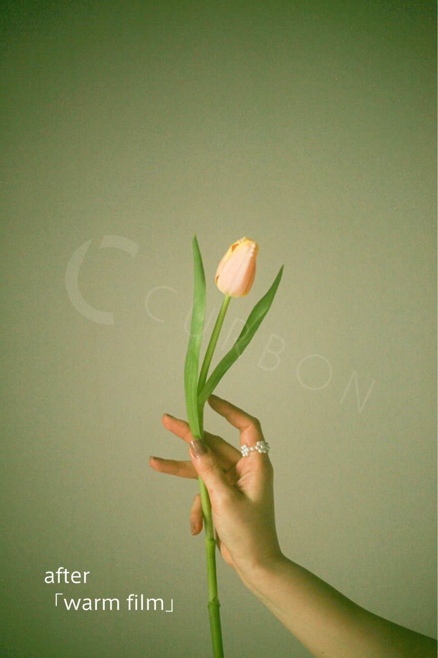 CURBON original Lightroom プリセット 「Film like Collection」